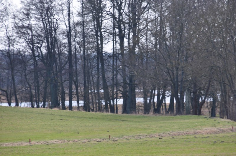 Mein Heimattal | Rustow Online